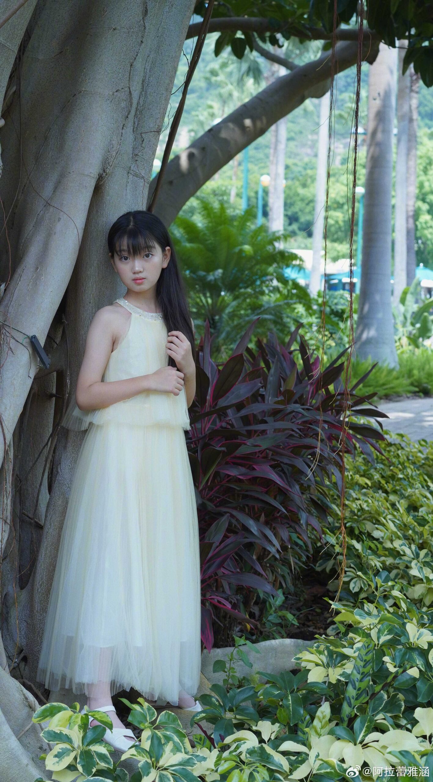 凭《爸爸去哪儿》走红！阿拉蕾「近况曝光」！进军娱乐圈当女主角！ – TTN 谈谈网